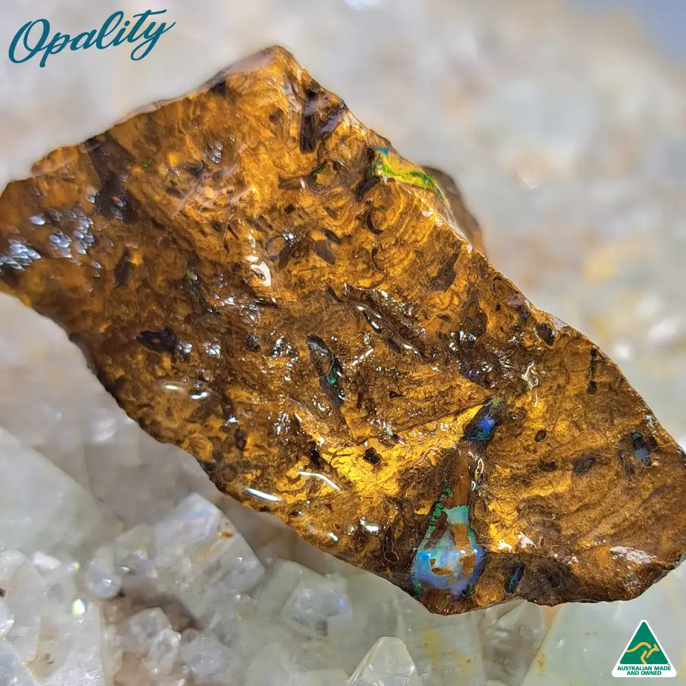 Australian Wood/Fossil Replacement Opal Rough 37g - Rare Multicolor ...
