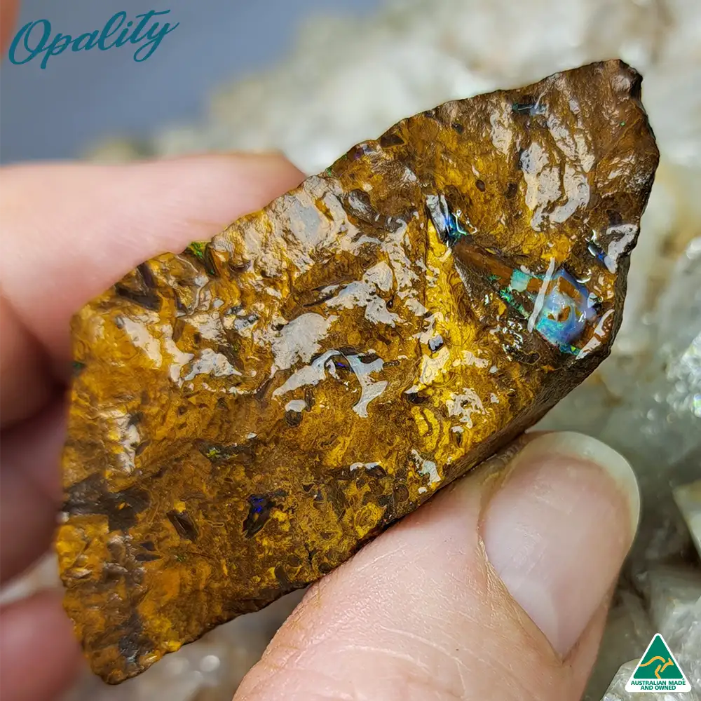 Australian Wood/Fossil Replacement Opal Rough 37g - Rare Multicolor ...