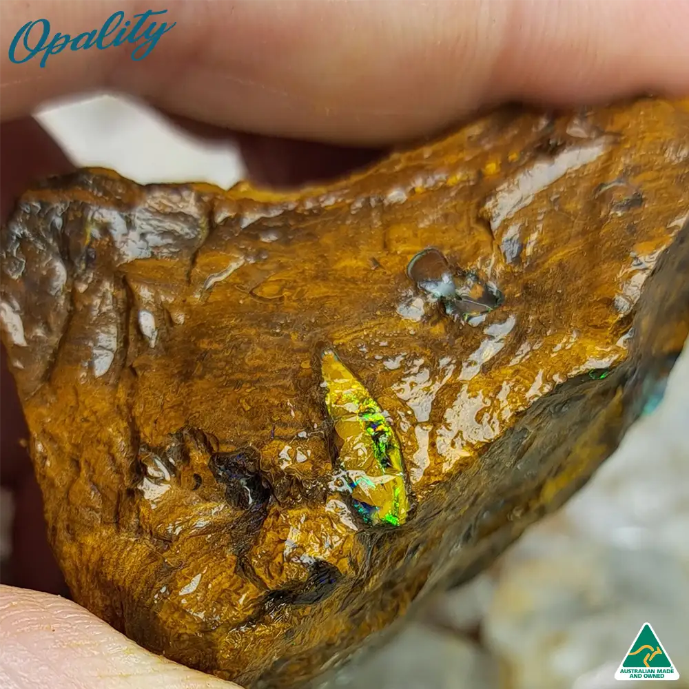 Australian Wood/Fossil Replacement Opal Rough 37g - Rare Multicolor ...