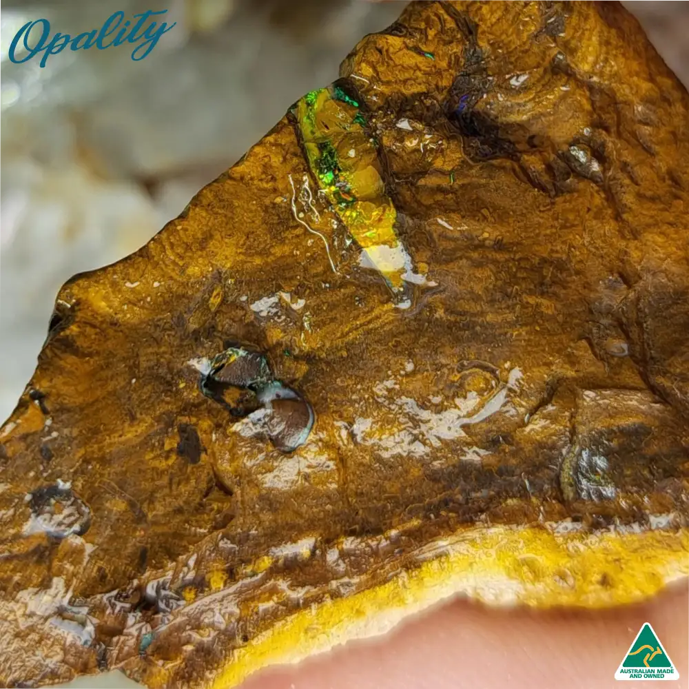 Australian Wood/Fossil Replacement Opal Rough 37g - Rare Multicolor ...